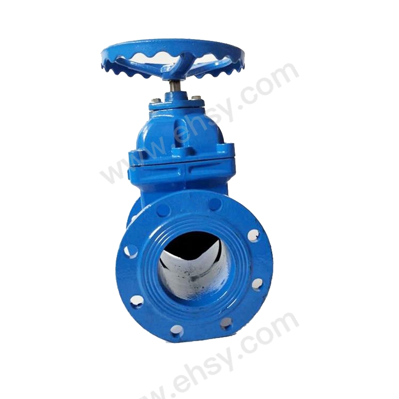 百普阀门 球墨铸铁暗杆软密封闸阀，Z45X-16Q DN65 法兰连接 售卖规格：1台【多少钱 规格参数 图片 采购】-西域