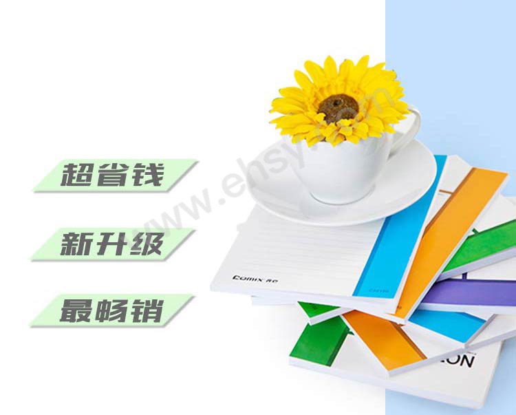 齐心 通用系列办公软抄本，C32030颜色随机（大包装） 32K 18张 售卖规格：10本/封【多少钱 规格参数 图片 采购】-西域