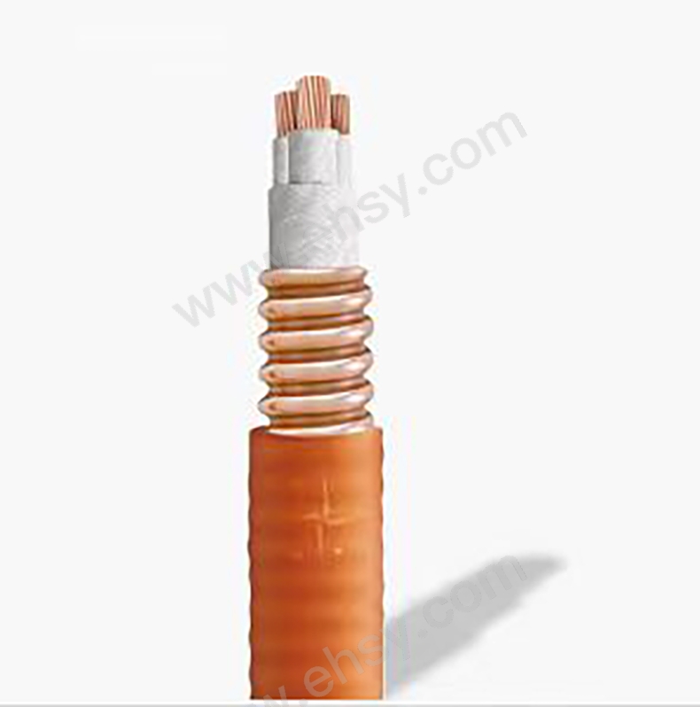 美缆 低压电缆，RTTZ-0.6/1kV-4*240+1*120【多少钱 规格参数 图片 采购】-西域