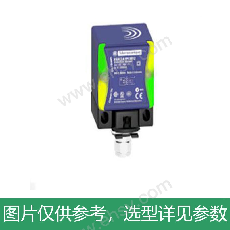 特勒美科/telemecanique 接近开关，XS9C2A2A1M12【多少钱 规格参数 图片 采购】-西域