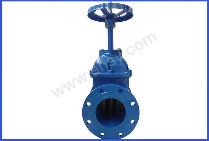 远洋阀门 闸阀,Z41X-10Q,DN300,阀体球墨铸铁,法兰连接【多少钱 规格参数 图片 采购】-西域