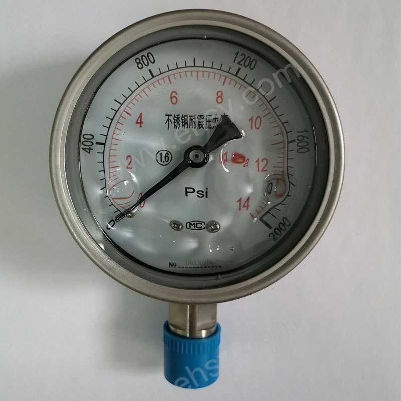 德天 耐震压力表，Y100 0-1MPa 2.5级 M20×1.5/径向/304+316/含第三方检定报告【多少钱 规格参数 图片 采购】-西域