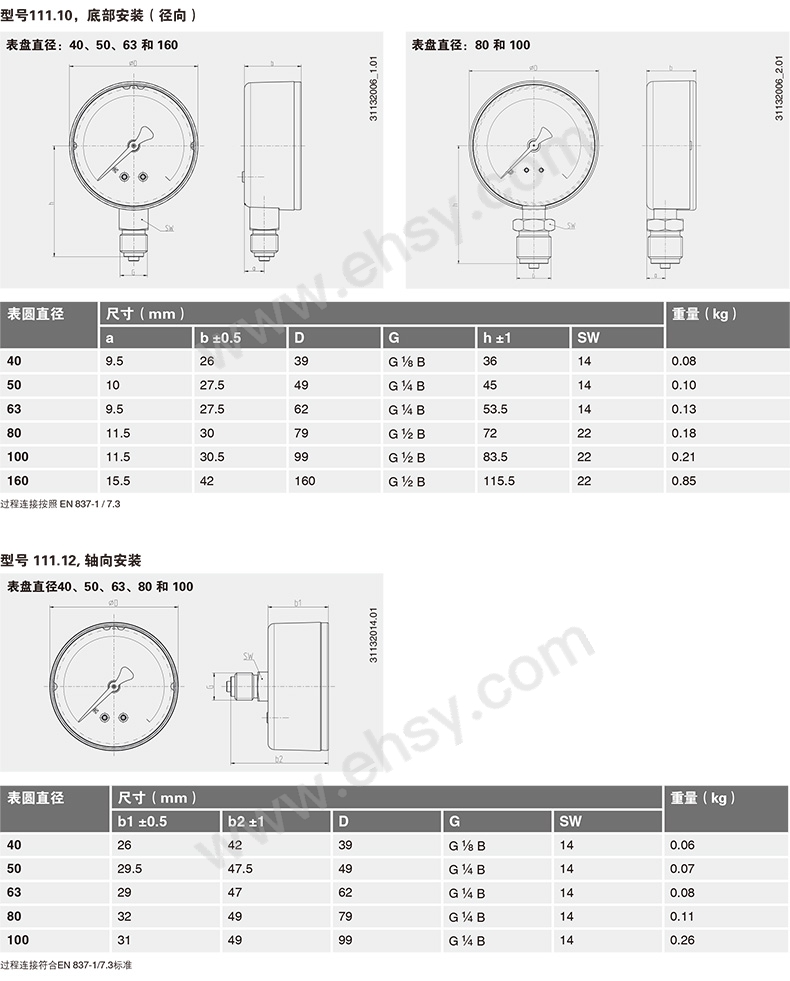 威卡/WIKA 波登管压力表，111.10.063 0-0.4MPa 塑料表壳G1/4径向 售卖规格：1个【多少钱 规格参数 图片 采购】-西域