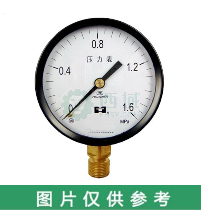 西域推荐 耐震压力表，Y60 轴向 3500psi（0-25）MPa 精度2.5级 螺纹1.5m 公称直径14mm【多少钱 规格参数 图片 采购】-西域