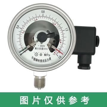 上仪 耐震电接点压力表YNXC-100BFZ,全不锈钢材质,径向不带边,Φ100,0~0.1MPa,M20*1.5,硅油【多少钱 规格参数 图片 采购】-西域