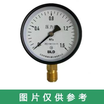 布莱迪 压力表，径向/-0.1~0.15MPa/Ф150/M20×1.5 介质：混合气 含检测费【多少钱 规格参数 图片 采购】-西域
