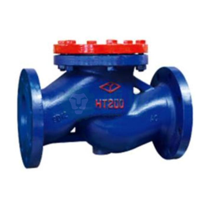 西域推荐 铸铁升降式止回阀H41T-16，DN50【多少钱 规格参数 图片 采购】-西域