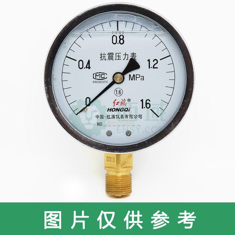 红旗 耐震压力表，YTN-100 碳钢＋铜 径向不带边 M20×1.5 0~16MPa【多少钱 规格参数 图片 采购】-西域