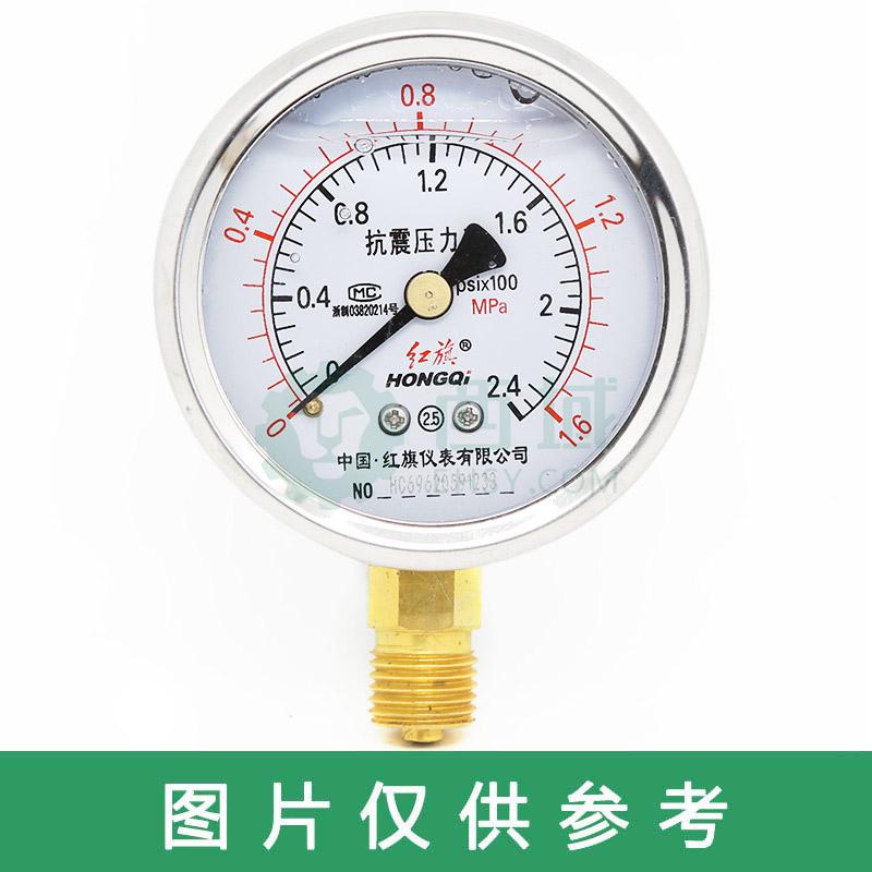 红旗 耐震压力表，YTN-60 碳钢＋铜 径向不带边 M14×1.5 0~40MPa【多少钱 规格参数 图片 采购】-西域