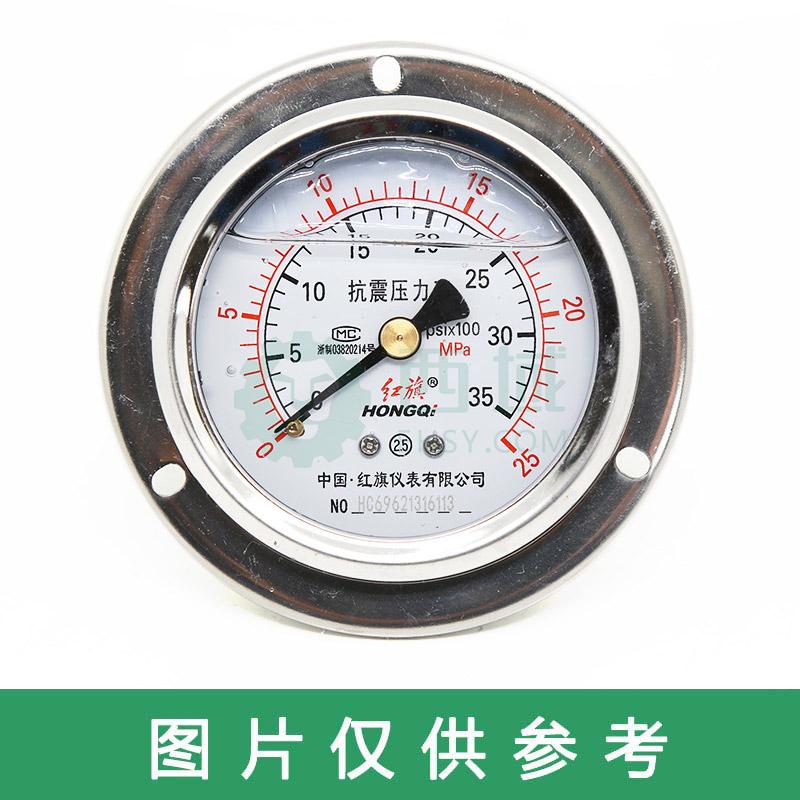 红旗 耐震压力表，YTN-60ZT 碳钢＋铜 轴向带边 M14×1.5 0~0.6MPa【多少钱 规格参数 图片 采购】-西域