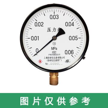 上自仪 普通压力表，Y-200/-0.1-0.06MPa/G1/2/1.6级/铁+铜/径向不带边【多少钱 规格参数 图片 采购】-西域