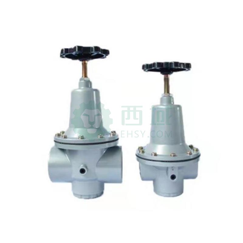 日高RGVC 空气减压阀，QTY-10 DN10【多少钱 规格参数 图片 采购】-西域