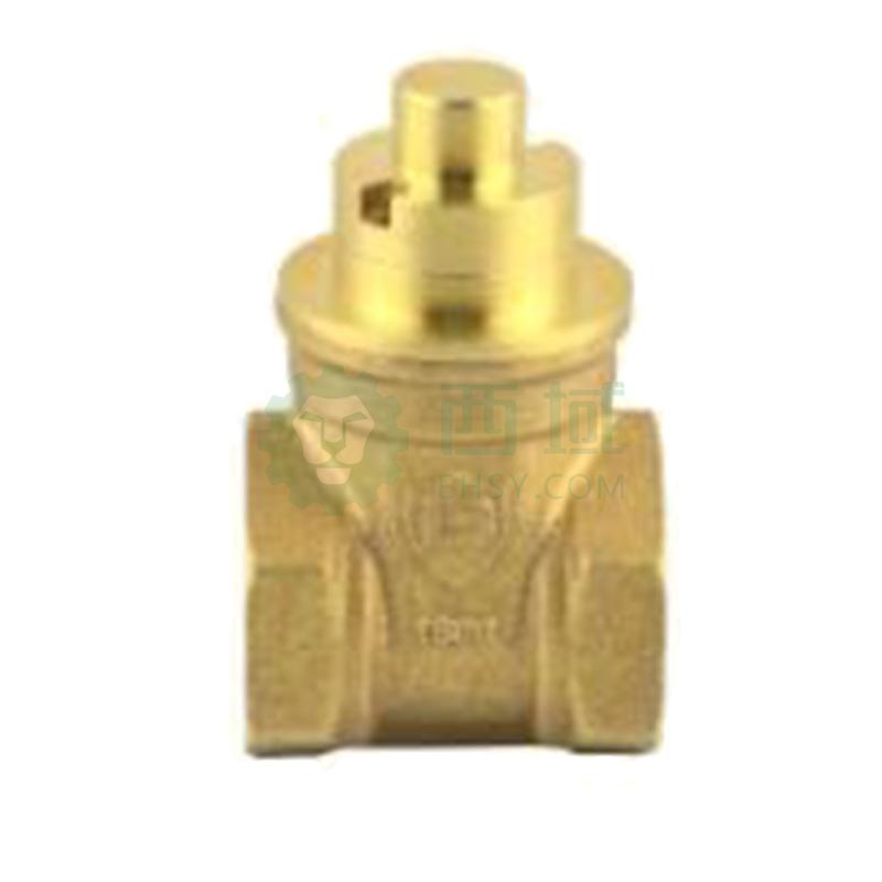 力盾 LD-6203CX磁性锁闸阀,Z15W-16T,DN20【多少钱 规格参数 图片 采购】-西域