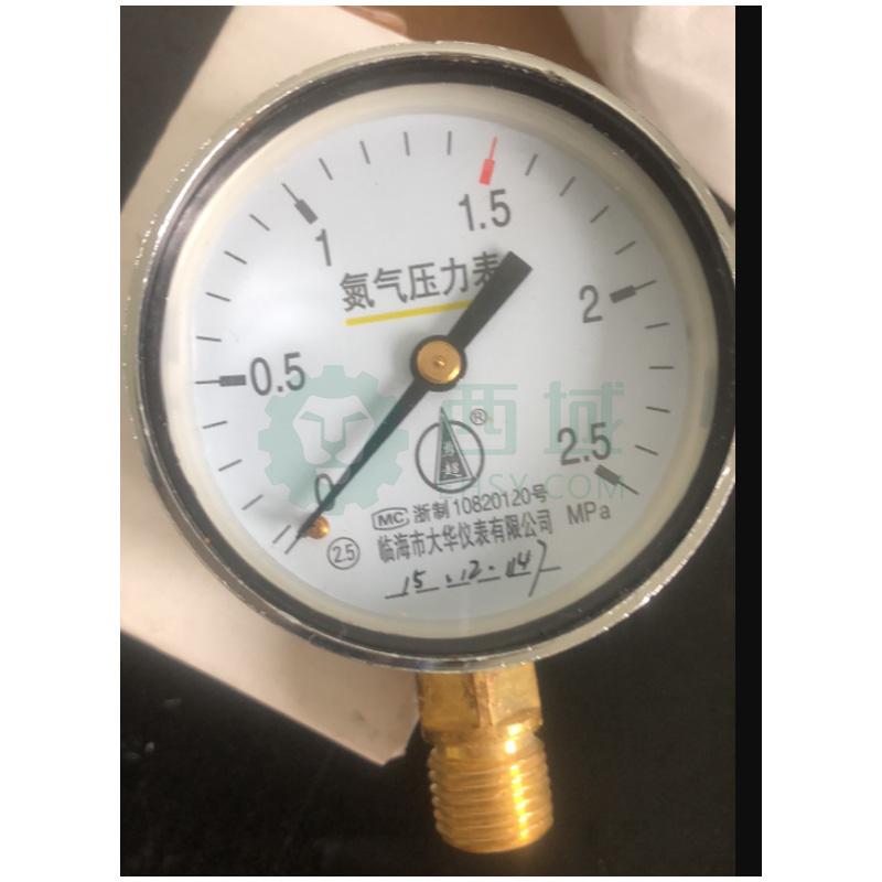 大华仪表 氮气压力表，2.5MPa【多少钱 规格参数 图片 采购】-西域