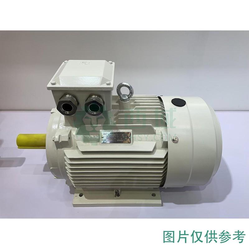 江苏大中 超高效三相交流异步电动机，YE4-180L-4/22kW/380V/41.6A/50HZ/F/IP55/B35【多少钱 规格参数 图片 采购】-西域