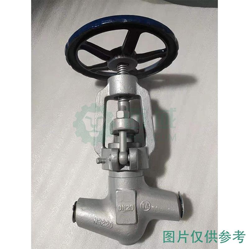 上海沪工 手动焊接截止阀，J61Y-170C DN50 碳钢锻造阀门接口内径45mmPN170A105适用温度≤425℃ 售卖规格：1个【多少钱 规格参数 图片 采购】-西域