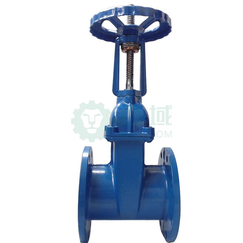 远洋阀门 闸阀，Z41X-10Q,DN65, 阀体球墨铸铁,法兰连接 售卖规格：1台【多少钱 规格参数 图片 采购】-西域