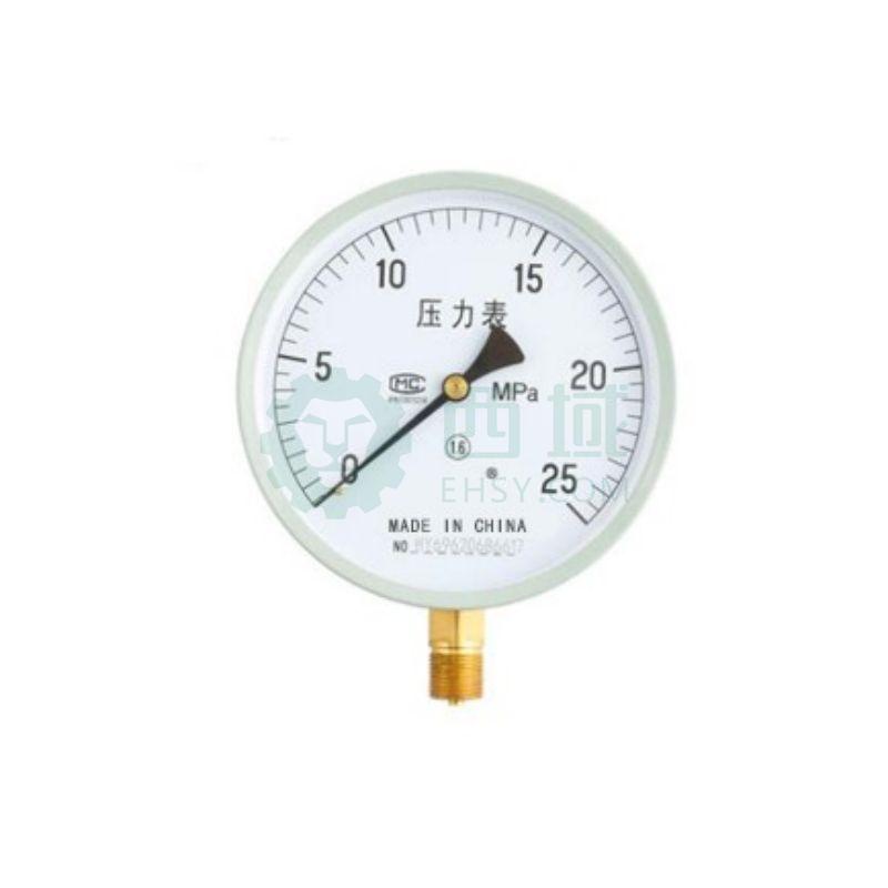 东瑞 氮气压力表 Y60 0-25Mpa M14*1.5 径向 2.5级【多少钱 规格参数 图片 采购】-西域