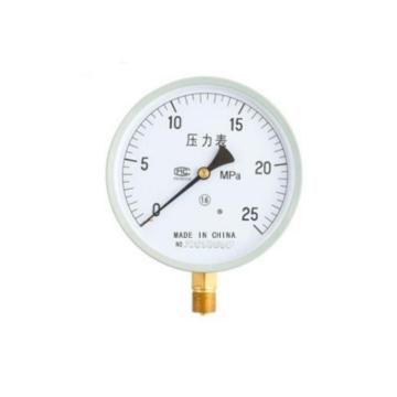 东瑞 氮气压力表 Y60 0-25Mpa M14*1.5 径向 2.5级【多少钱 规格参数 图片 采购】-西域