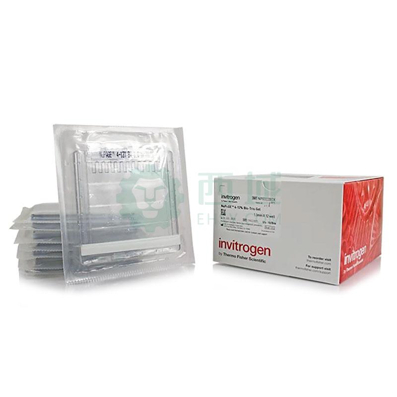 Invitrogen GeneArt NuPAGE™ 4-12%, Bis-Tris, 1.0– 1.5 mm, 小型蛋白预制胶 ...
