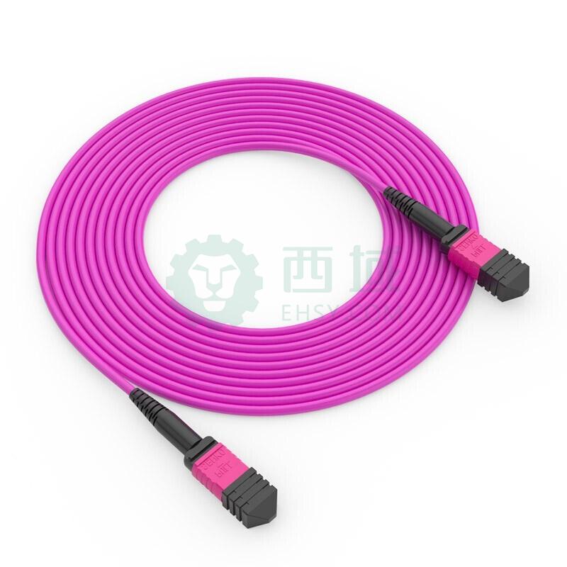 海乐 多模万兆MPO-MPO 12芯OM4光纤跳线 40G/100G/200G模块用跳纤 60米，MPO-MTA12-60M【多少钱 规格参数 ...