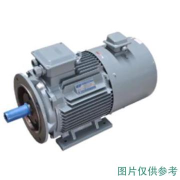 皖南电机 变频调速电机，YVF2-90L-4 380V 1.5KW 3.8A IP54【多少钱 规格参数 图片 采购】-西域