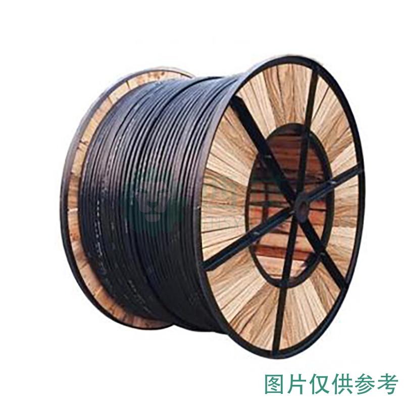 起帆 铜芯交联聚乙烯绝缘钢带铠装聚氯乙烯护套阻燃C类中压电缆，ZC-YJV62-6/10kV-1*300 不包含卸货 售卖规格：1米【多少钱 规格参数 图片 采购】-西域