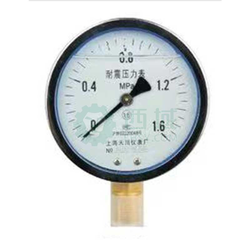 天川 普通不锈钢耐震压力表，Y100 0-0.6MPA M20*1.5 耐震 径向无边 1.6 售卖规格：1个【多少钱 规格参数 图片 采购】-西域