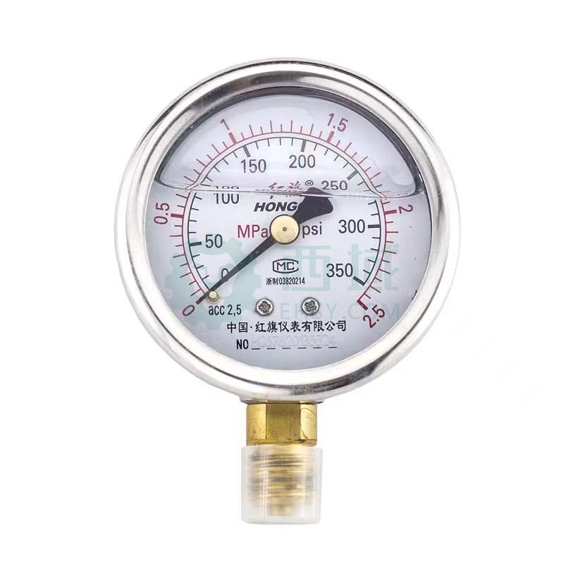 红旗 耐震压力表,YTN-60 0-0.1Mpa 径向 M14*1.5【多少钱 规格参数 图片 采购】-西域