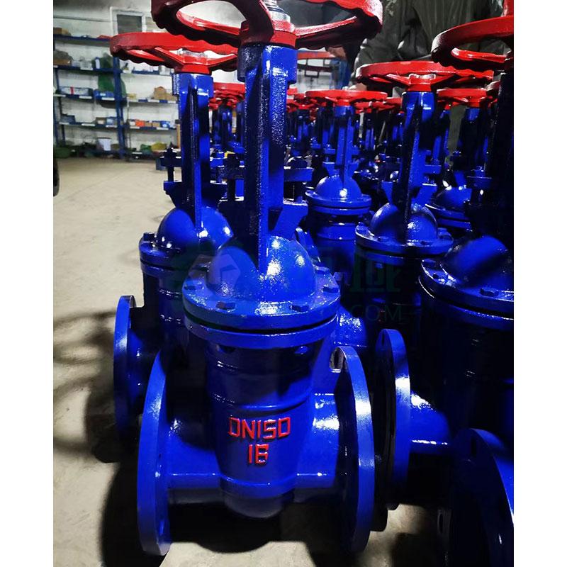 加能 阀门铸铁明杆闸阀，Z41T-16，DN200，工作压力8-10公斤 售卖规格：1台【多少钱 规格参数 图片 采购】-西域