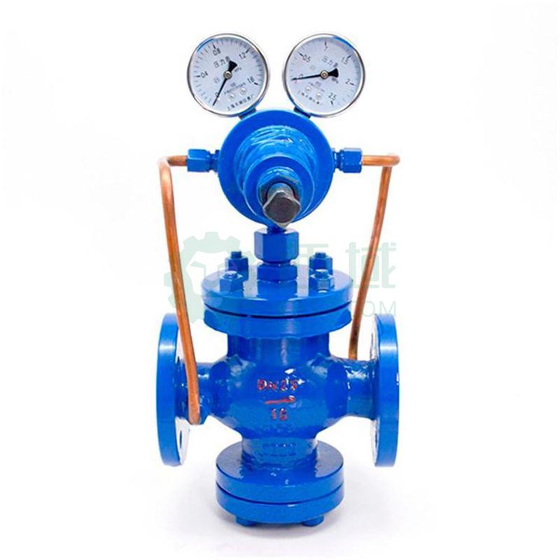 百普阀门 先导活塞式气体减压阀，YK43X-16C,DN200,法兰连接 售卖规格：1台【多少钱 规格参数 图片 采购】-西域