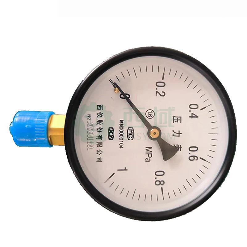 西仪 普通压力表，Y-100 0-0.6MPa M20*1.5 售卖规格：1个【多少钱 规格参数 图片 采购】-西域