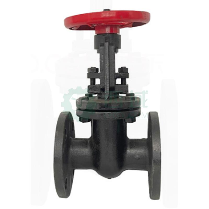 FGO 铸铁明杆铜密封法兰闸阀，Z41T-10-DN125，公称压力PN10【多少钱 规格参数 图片 采购】-西域