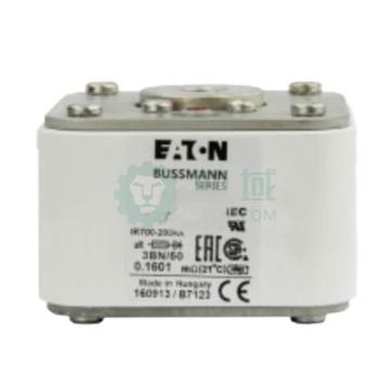 巴斯曼BUSSMANN 高速方体熔断器，170M6464【多少钱 规格参数 图片 采购】-西域