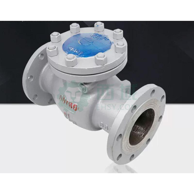 国工阀门 止回阀，H44H-16C DN80 重型 含法兰【多少钱 规格参数 图片 采购】-西域