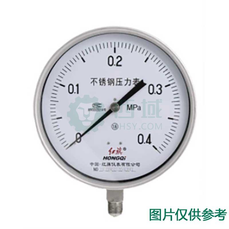 红旗 不锈钢耐震压力表，YTN-100BF, 0~1MPa，M20*1.5,d1.6%【多少钱 规格参数 图片 采购】-西域