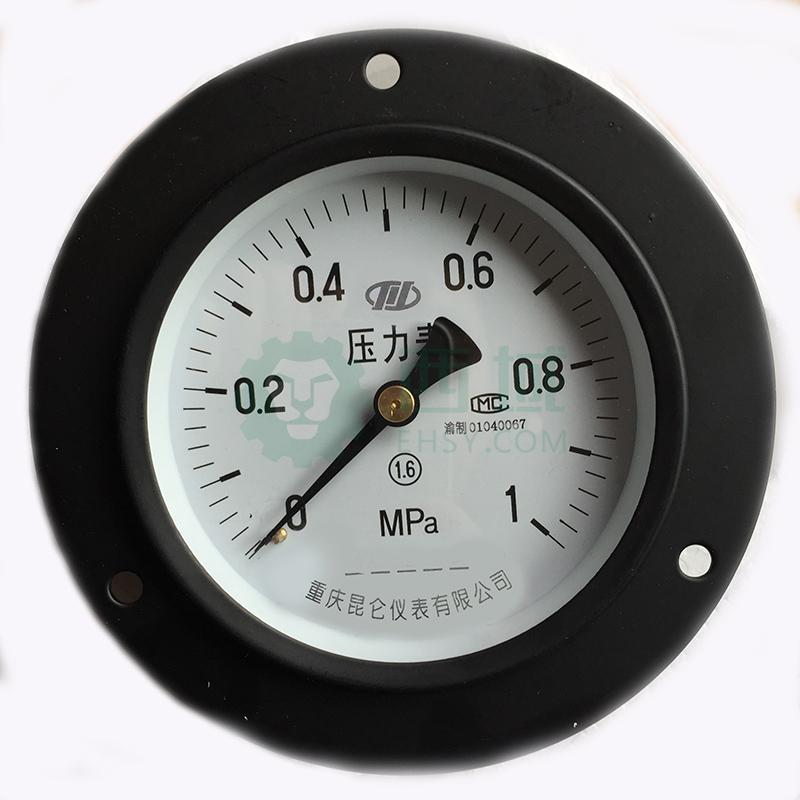 川仪 普通轴向压力表，Y-150ZT,0~1MPa,NPT1/2,铁+铜 下轴向带前边,1.6级 售卖规格：1盒【多少钱 规格参数 图片 采购】-西域
