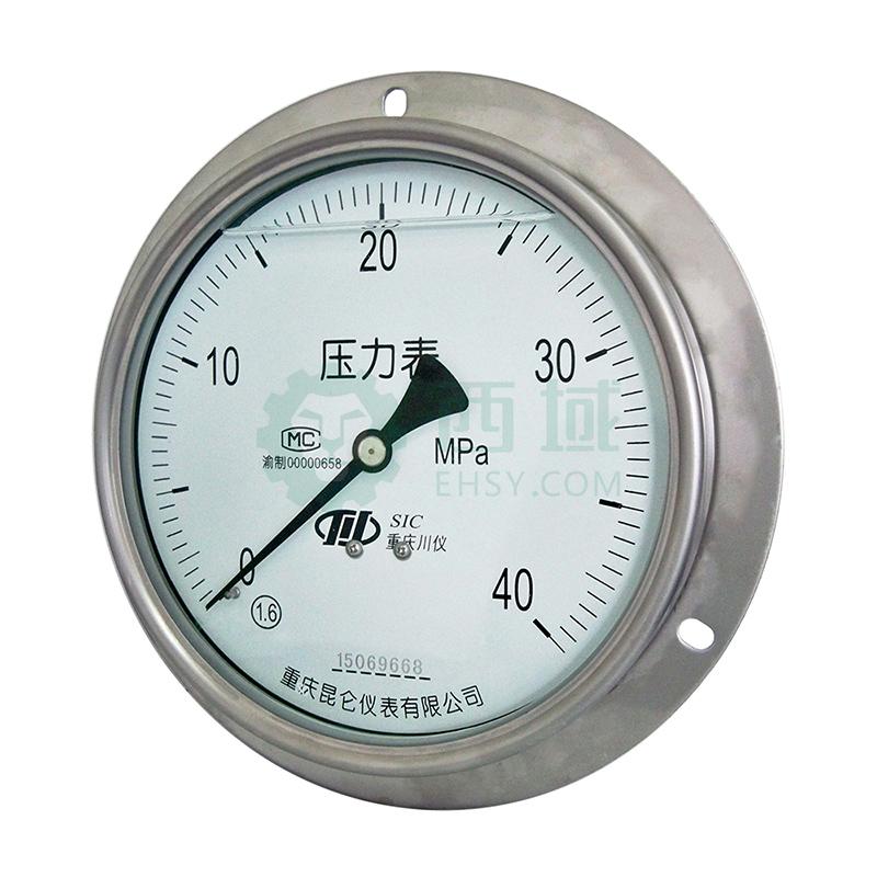 川仪 轴向不锈钢耐震压力表，YTHN-60ZT,0~1MPa,M14×1.5,304+304 中轴向带前边,2.5级 售卖规格：1盒【多少钱 规格参数 图片 采购】-西域