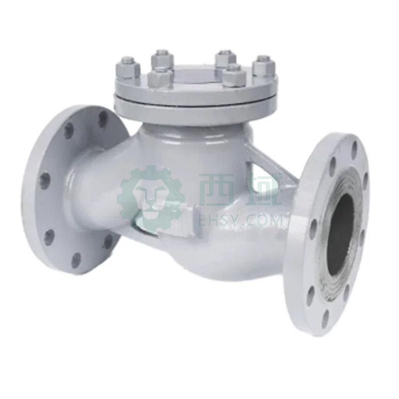 电建阀门 重型材质止回阀（升降式），H41H-100C DN80 售卖规格：1台【多少钱 规格参数 图片 采购】-西域