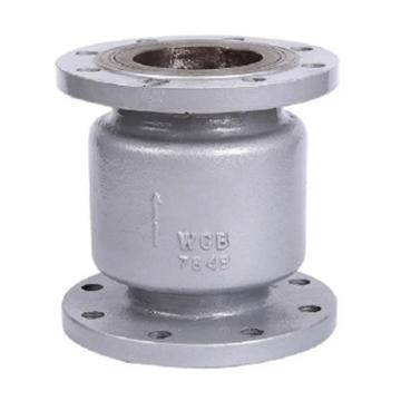 电建阀门 重型材质止回阀（立式），H42H-25C DN65 售卖规格：1台【多少钱 规格参数 图片 采购】-西域