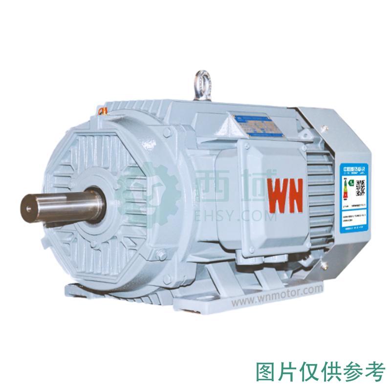 皖南电机 YE5超高效三相异步电机，YE5-280S-6 ,45KW,B35，L（接线盒在左） 售卖规格：1台【多少钱 规格参数 图片 采购】-西域