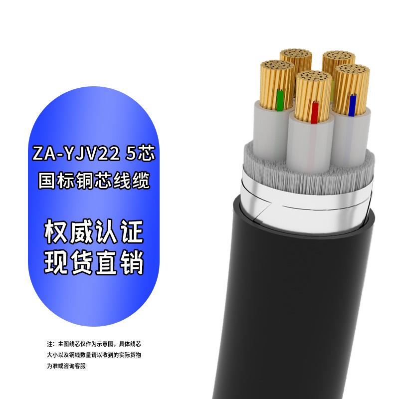 世腾 0.6/1kV铜芯交联聚乙烯绝缘钢带铠装聚氯乙烯护套阻燃A级电力电缆，ZA-YJV22-0.6/1kV-5*2.5 售卖规格：1米【多少钱 规格参数 图片 采购】-西域
