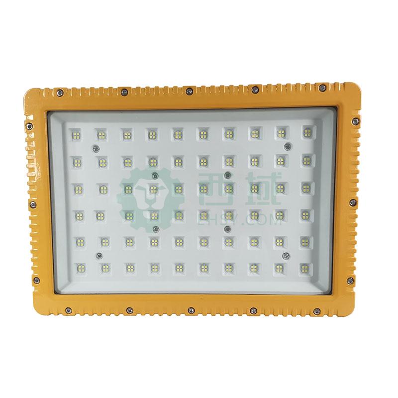 Plusrite LED防爆投光灯PLUS-TG-200W，PLUS-TG-200W 售卖规格：1套【多少钱 规格参数 图片 采购】-西域